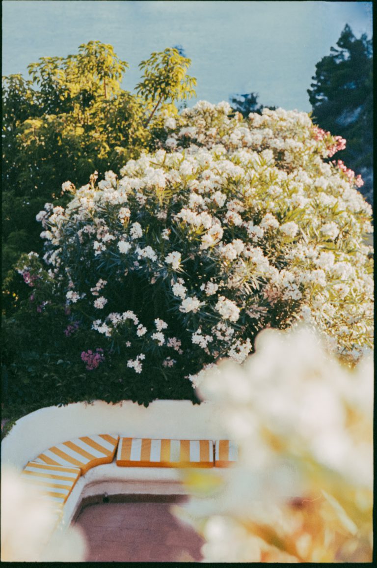 The Young Italian Photographers That Best Capture Italy’s Essence ...