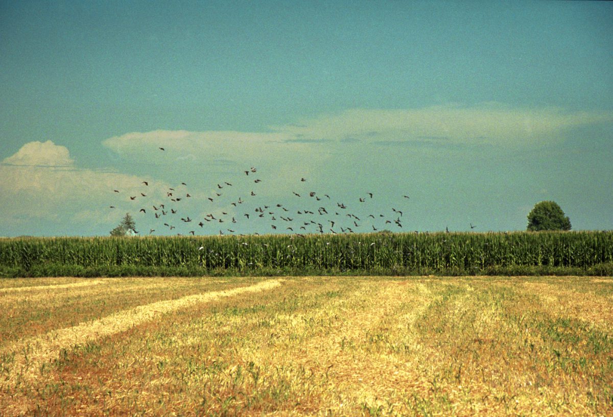 The Young Italian Photographers That Best Capture Italy’s Essence ...