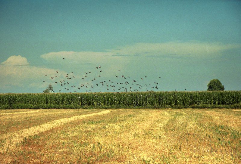 The Young Italian Photographers That Best Capture Italy’s Essence ...