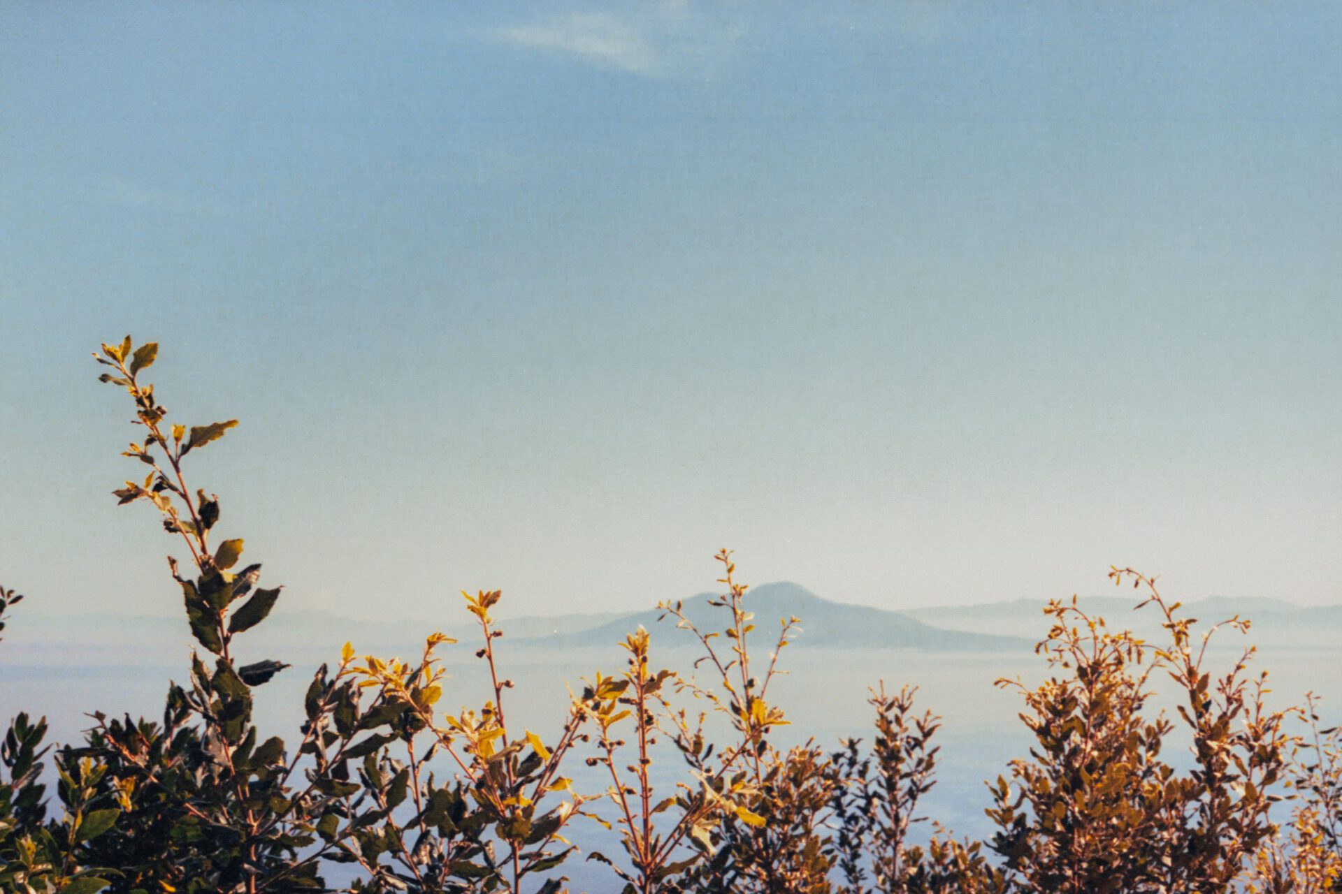 Capri with a Local - Italy Segreta