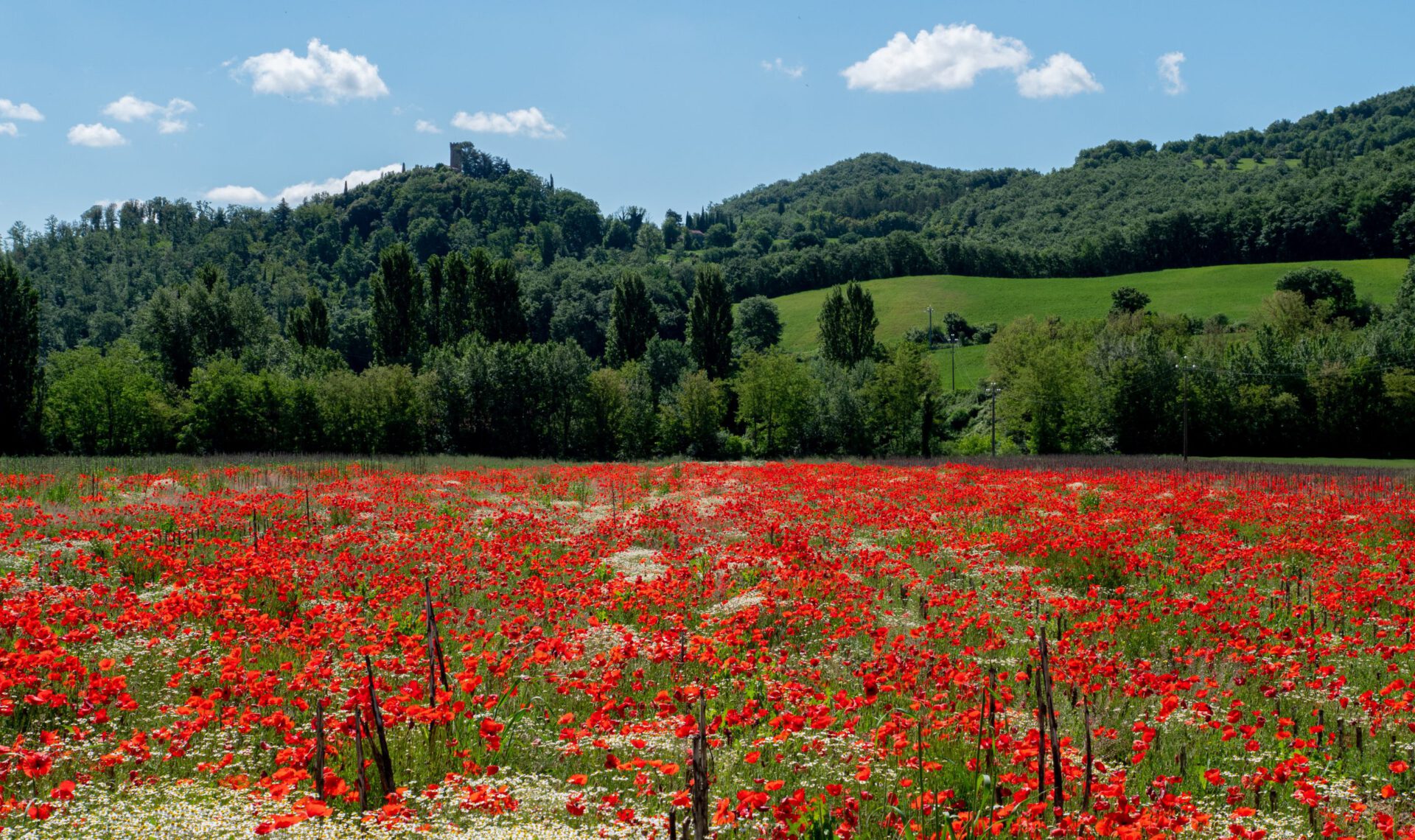 When in Umbria, Do as the Umbrians Do - Italy Segreta - Travel