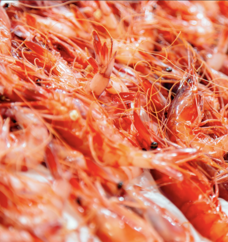 In Cucina: Scampi in Saor - Italy Segreta - Food