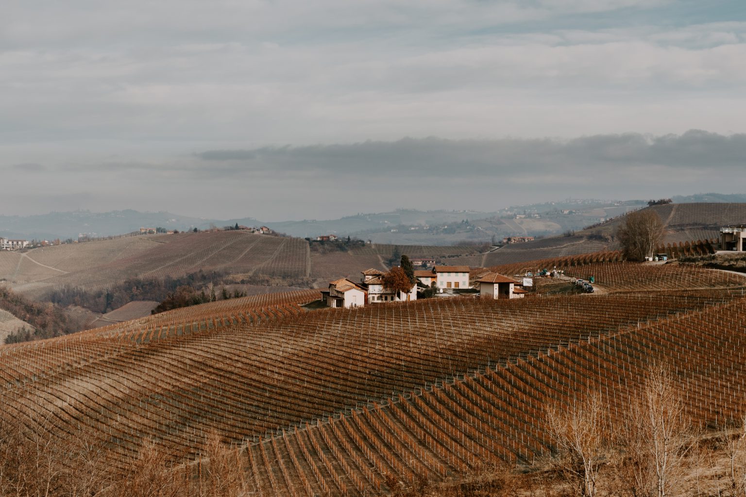 Monforte’s Magic: Memories, Family and Conviviality - Italy Segreta - Food