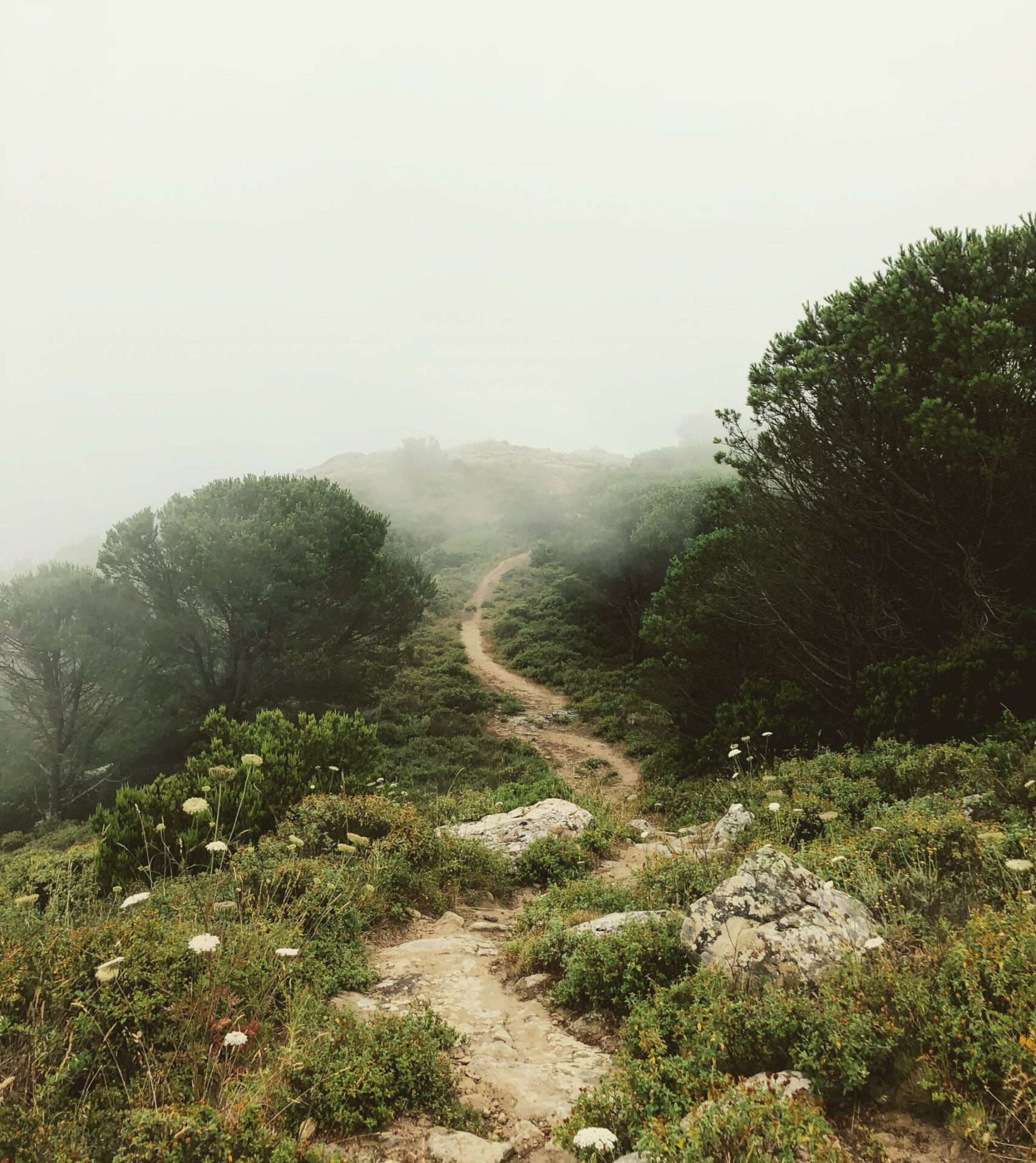 A Quick Guide to Giglio - Italy Segreta