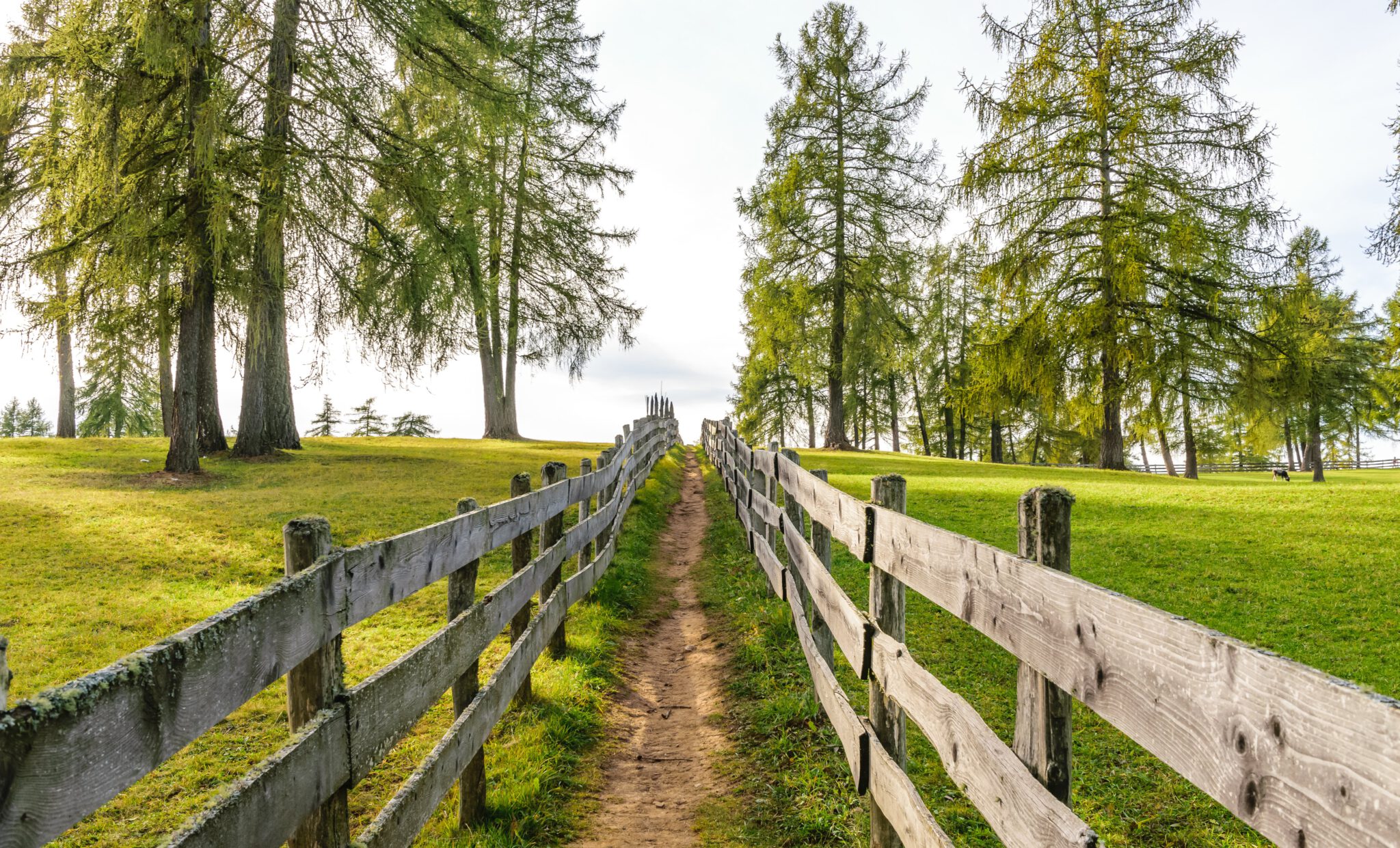 Hotel Saltus - Italy Segreta