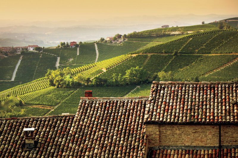 Reinventing Barolo: Territory and Tourism - Italy Segreta - Travel