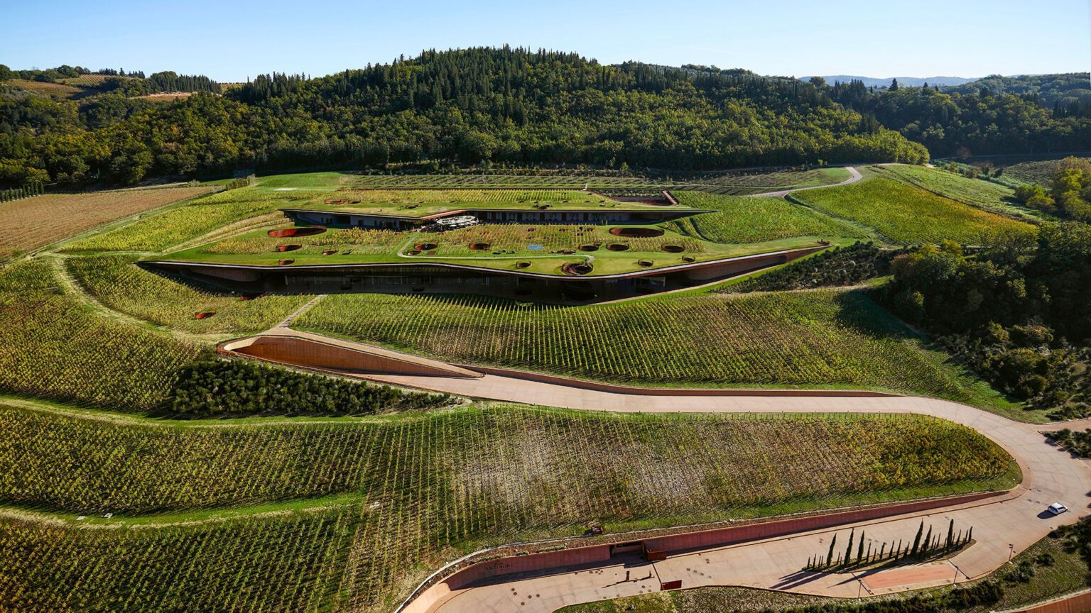 Italian Design through the Lens of Wine Cellars - Italy Segreta - Food