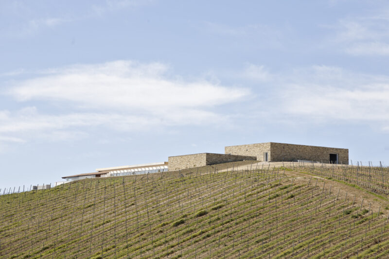 Italian Design through the Lens of Wine Cellars - Italy Segreta - Food