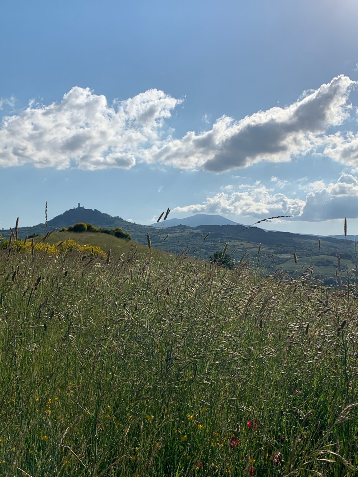 Mysterious Mount Amiata: Sacred Mountain in Tuscany - Italy Segreta ...