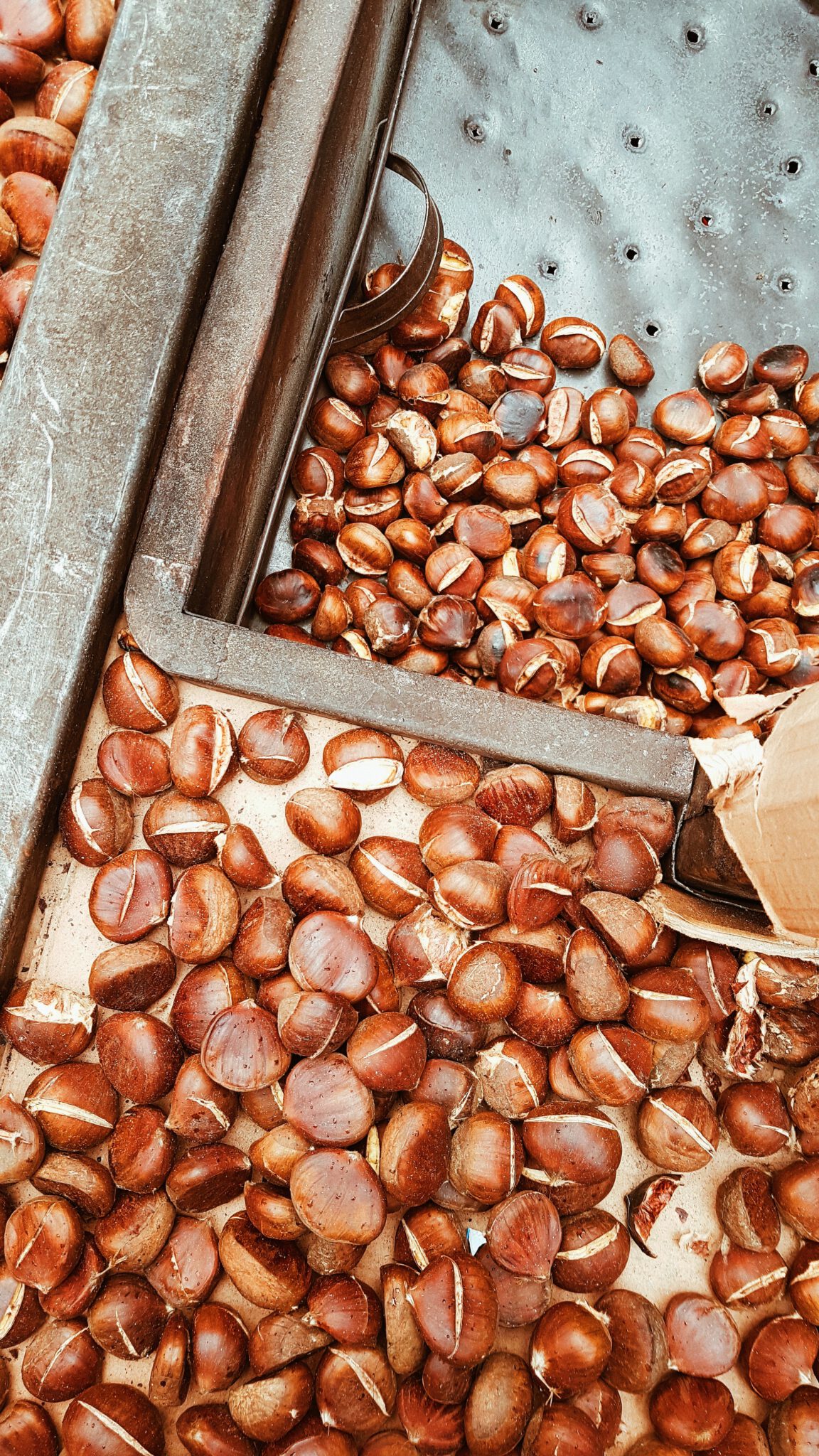 Roasting On An Open Fire: Italian Chestnuts - Italy Segreta - Food