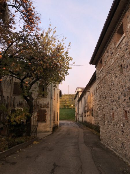 What to Do in Treviso: Venice’s Cooler, Quieter Cousin - Italy Segreta ...