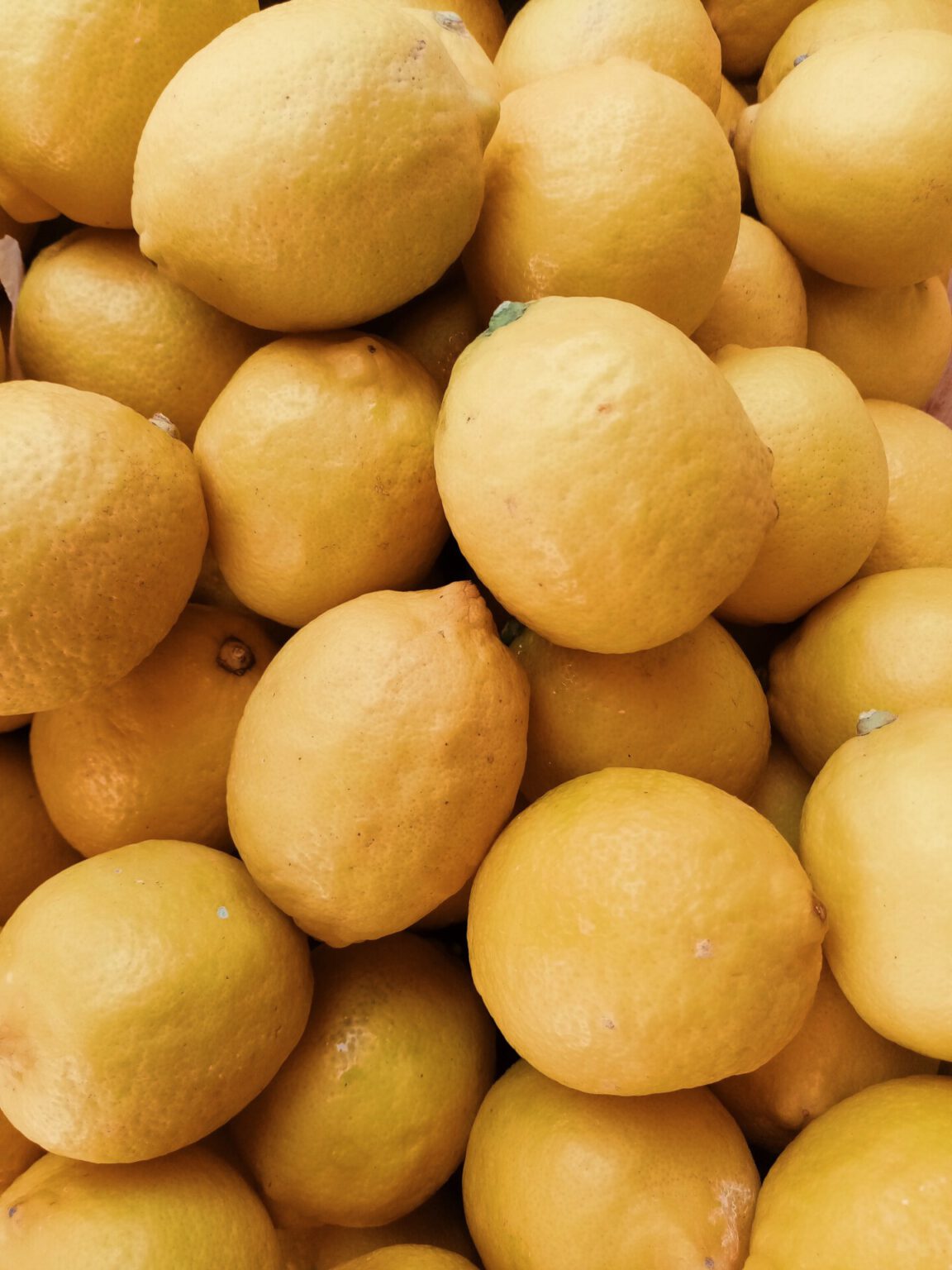 Amalfi Lemons: the ‘Heroic Farmers’ of the Costiera Amalfitana - Italy ...