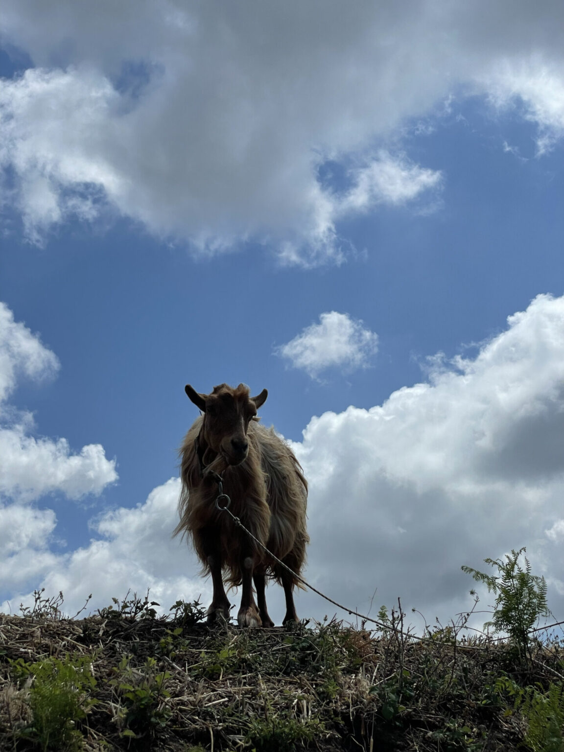 Beyond Tropea: How to Live Calabria like a Local - Italy Segreta - Travel