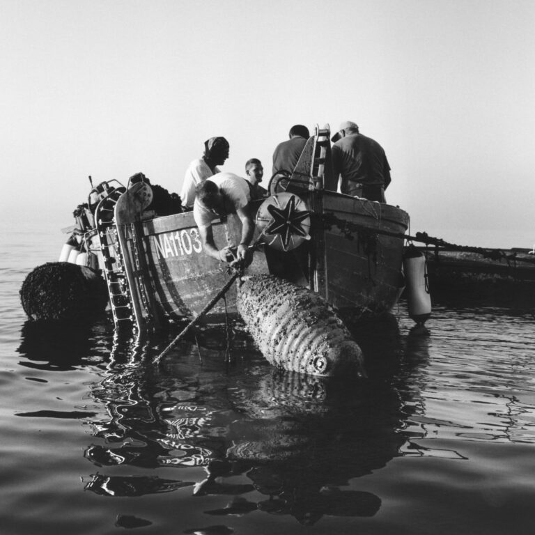 Through the Lens of Brett Lloyd: Loving Naples from the Outside-In ...