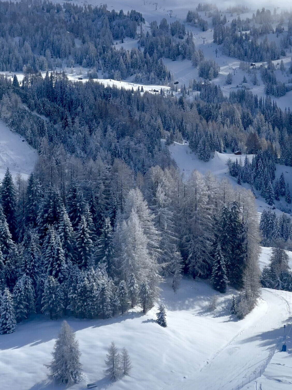 The 5: Winter Things We’re Obsessed With - Italy Segreta