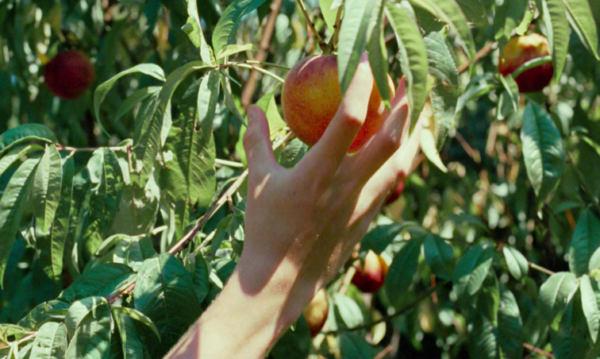 11 Best Italian Food Scenes in Movies - Italy Segreta