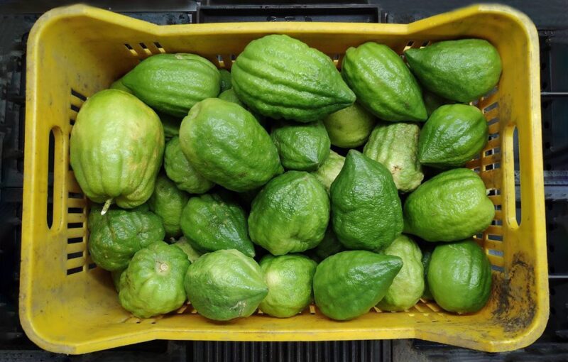 Beneath the Sugar Coating: In Conversation with Corrado Assenza - Italy ...