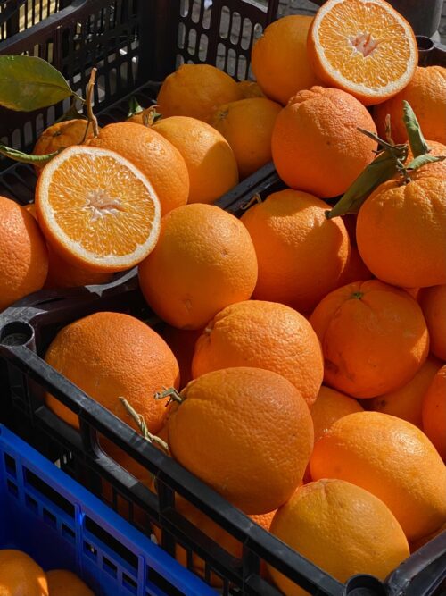 Sicily: The Island of Orange Groves - Italy Segreta - Food