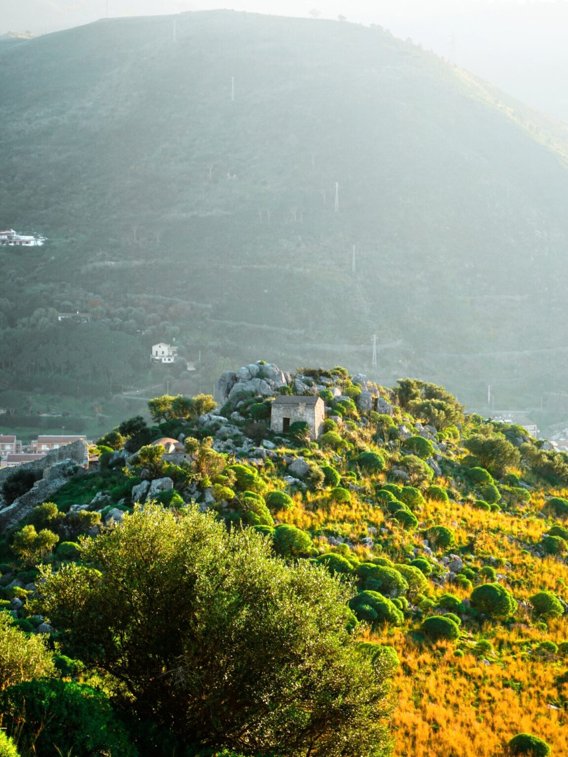 A Local's Guide to Sicily: Palermo, Trapani, and Central Provinces ...