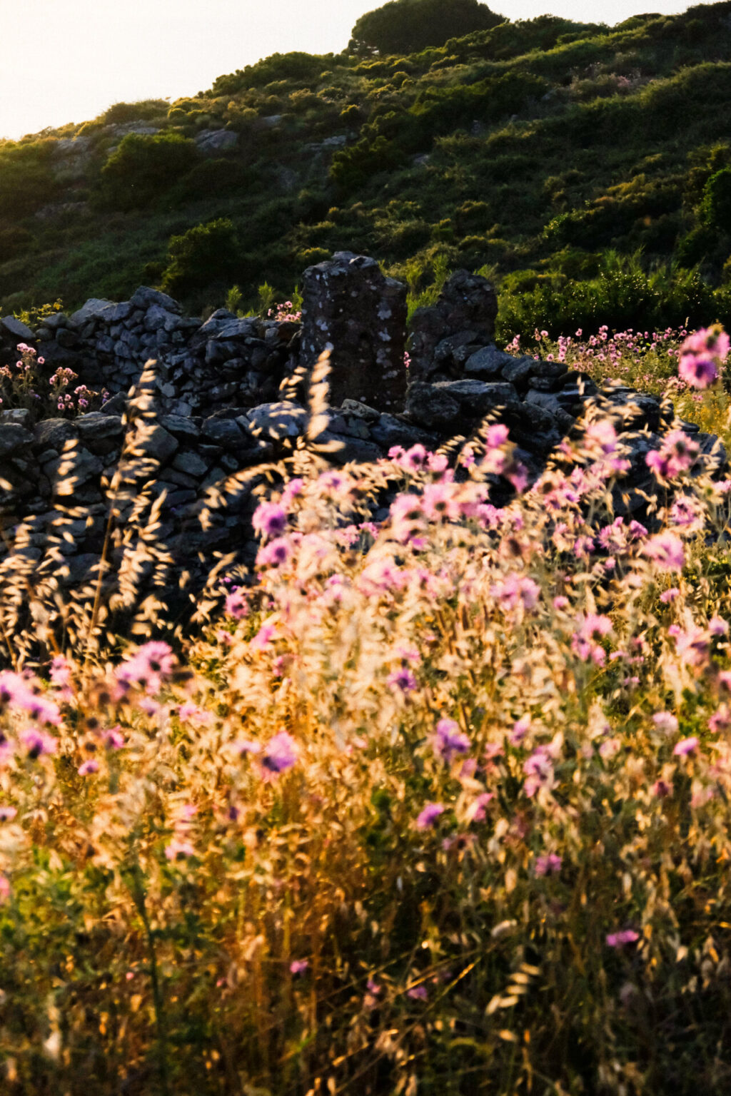 Off-Season on Isola del Giglio - Italy Segreta - Travel