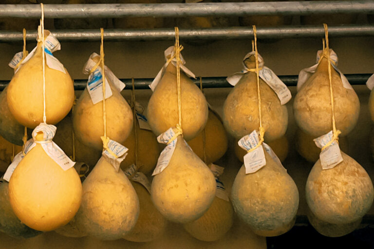 Easy Cheesy: A Guide to Italian Cheeses for the Lactose Intolerant ...