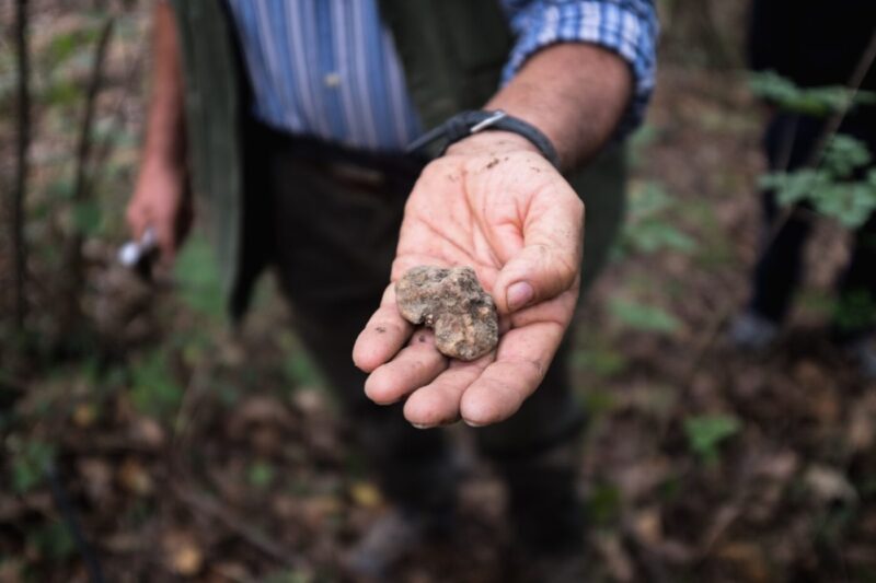 Travel Consultation - Deep Dive - Italy Segreta