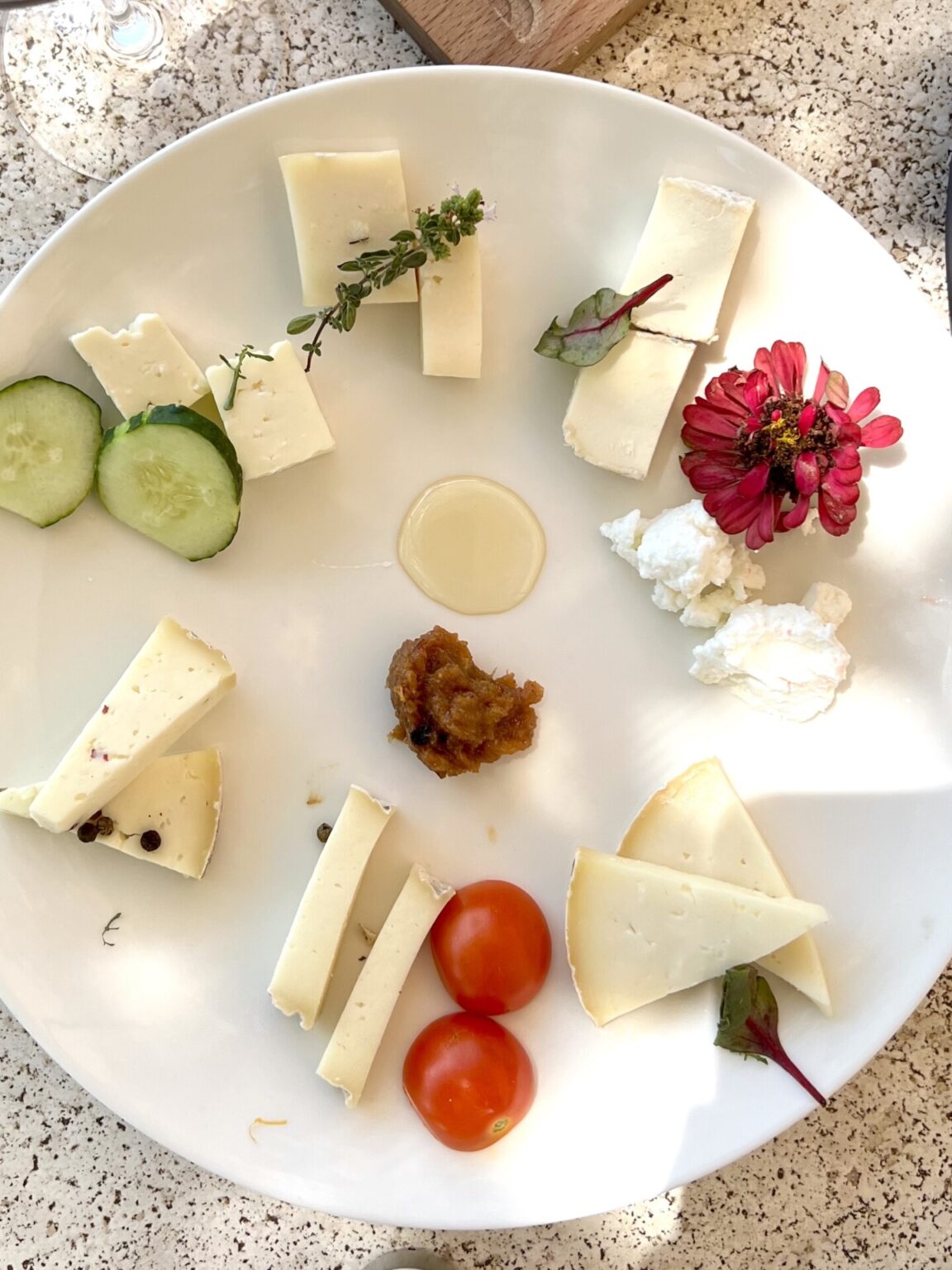 Easy Cheesy: A Guide to Italian Cheeses for the Lactose Intolerant ...