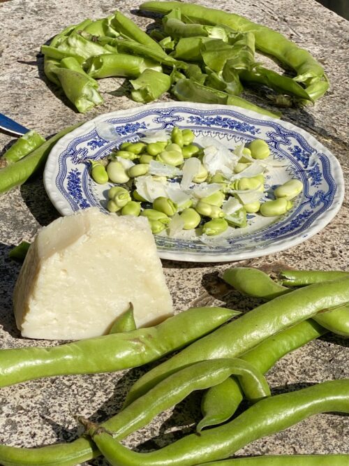 Easy Cheesy: A Guide to Italian Cheeses for the Lactose Intolerant ...