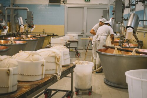 Easy Cheesy: A Guide to Italian Cheeses for the Lactose Intolerant ...