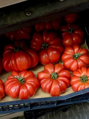 Be a Season-ed Shopper: A Guide to Italy’s Produce - Italy Segreta - Food