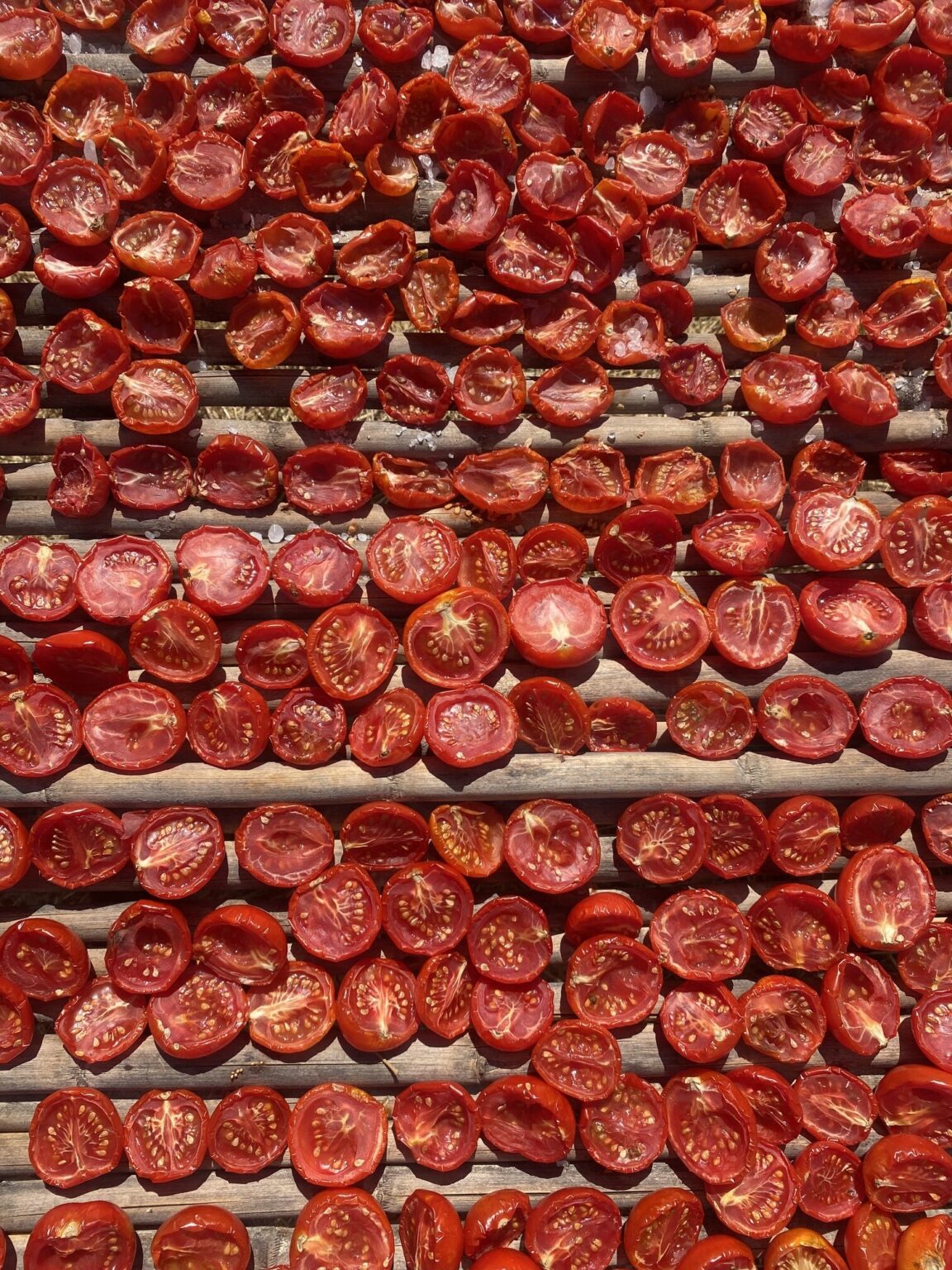 Plant-Based Puglia: In Salento, One Agriturismo Is Returning to the ...