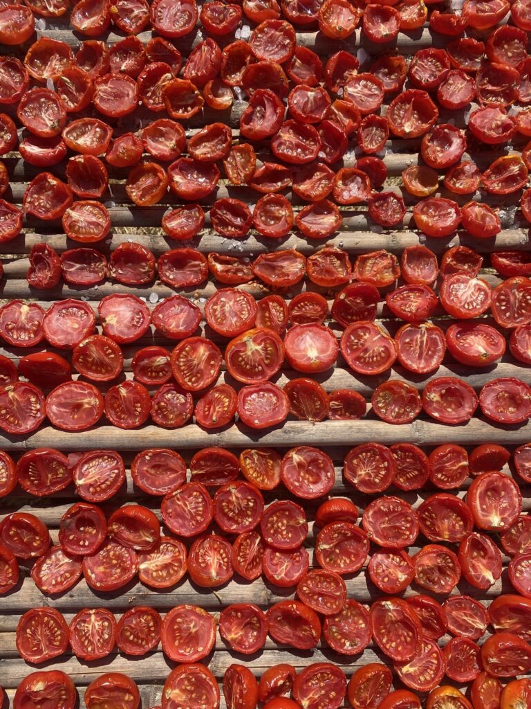 Plant-Based Puglia: In Salento, One Agriturismo Is Returning to the ...