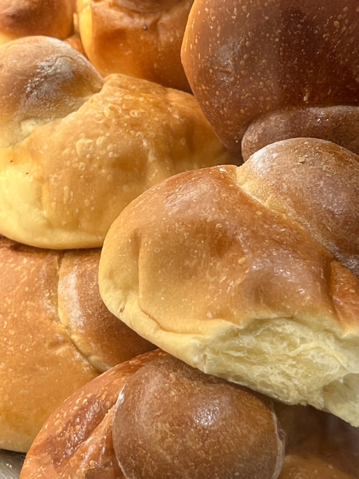 What Italian Bread Are You According to Your Zodiac Sign? - Italy ...