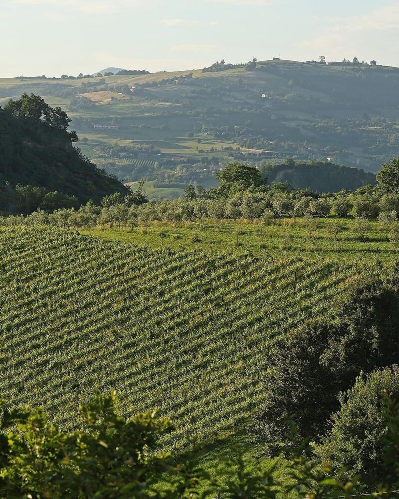 The Hip Local’s Guide to Modena - Italy Segreta - Travel