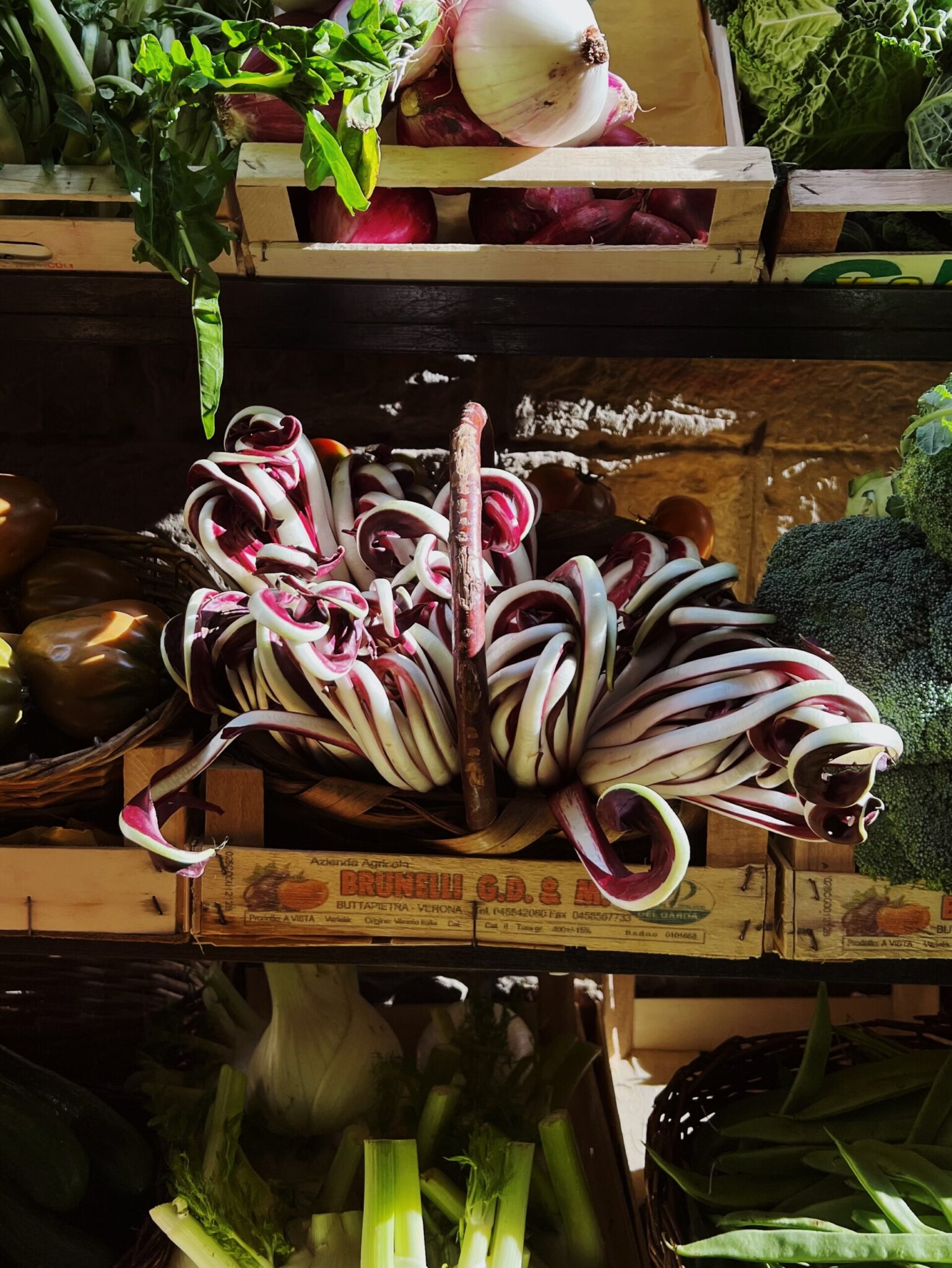 A Comprehensive Guide to Italian Radicchios - Italy Segreta - Food