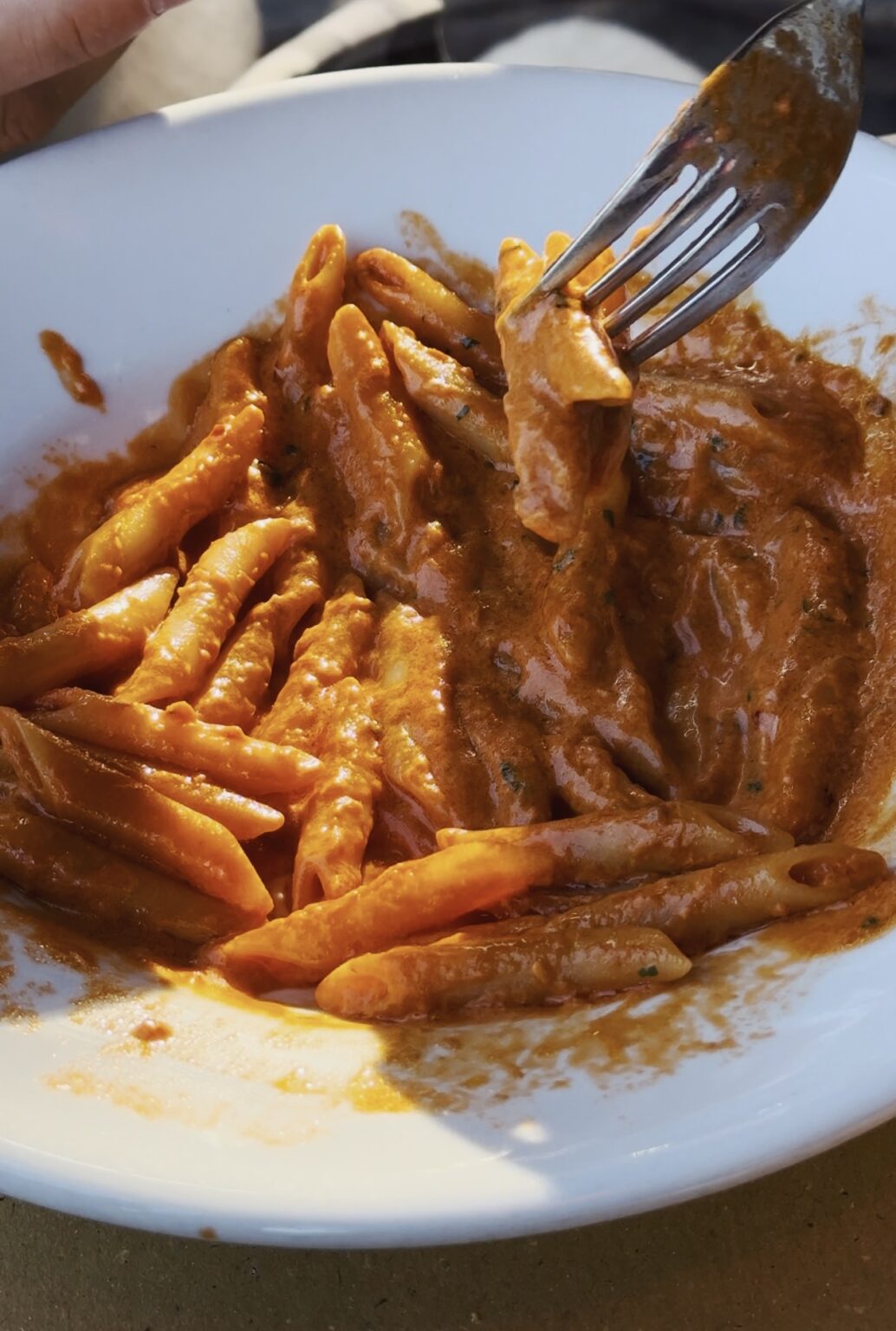 Italian or American? The Truth About Penne alla Vodka - Italy Segreta ...