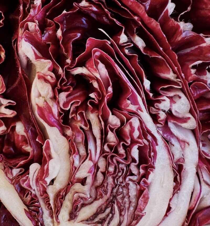 A Comprehensive Guide to Italian Radicchios - Italy Segreta - Food