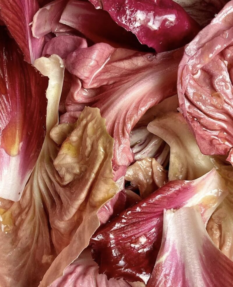 A Comprehensive Guide to Italian Radicchios - Italy Segreta - Food