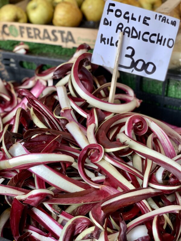 A Comprehensive Guide to Italian Radicchios - Italy Segreta - Food