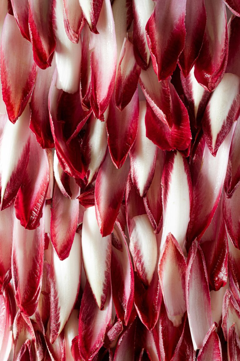 A Comprehensive Guide to Italian Radicchios - Italy Segreta - Food
