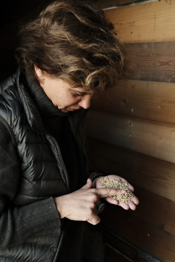 Italy Is Europe’s Largest Producer of Rice, and It’s All Thanks to the ...