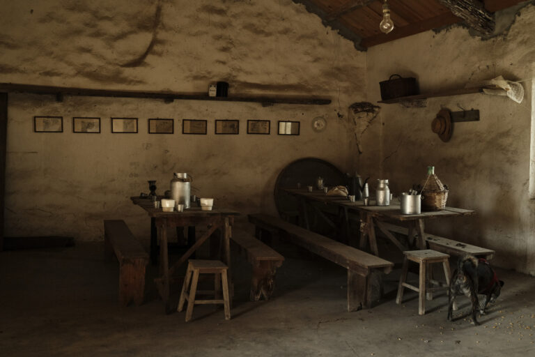 Italy Is Europe’s Largest Producer of Rice, and It’s All Thanks to the ...