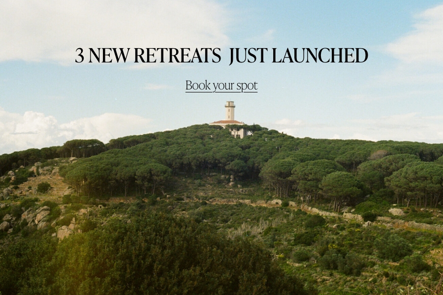 From Cloister to Canvas: Plautilla Nelli and the Painter Nuns of ...